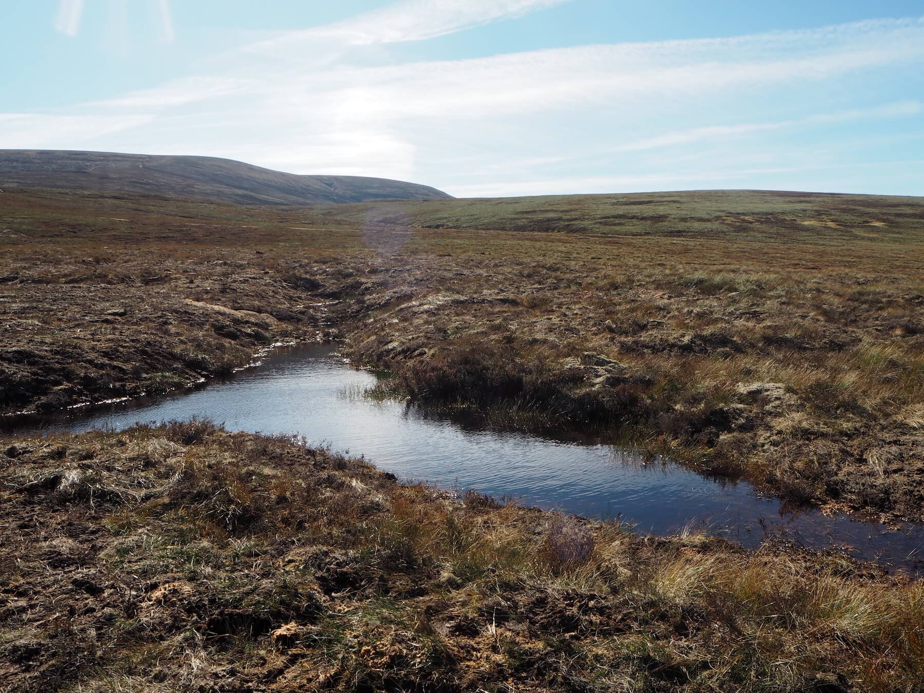 Home - Peat Free Partnership